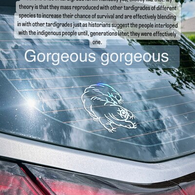 Jesus is My... Car Decal, Christian God Vinyl Bumper or Window Sticker ...