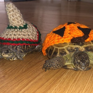 Mariachi Sombrero Turtle/tortoise Costume - Etsy