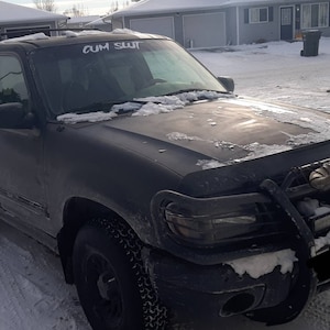 DIRTY SOUTH Vinyl Decal Sticker Diesel Truck Car Southern | Etsy