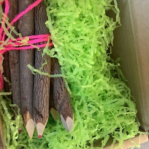 Twig Pencil Crayons, Colouring Pencils - Etsy UK