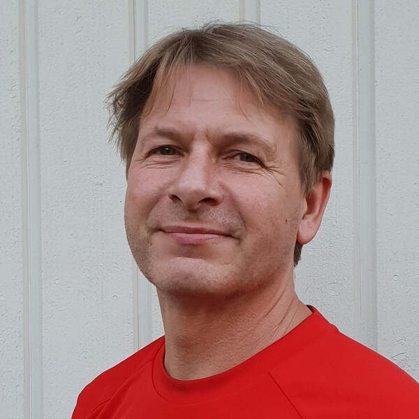 Dyed Wood Veneer Essentials Mix, 30cm (~11.8″) Long, 5 Sheets Total ...