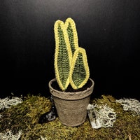 Spider Plant Crochet Pattern | Amigurumi Houseplant - Etsy Canada