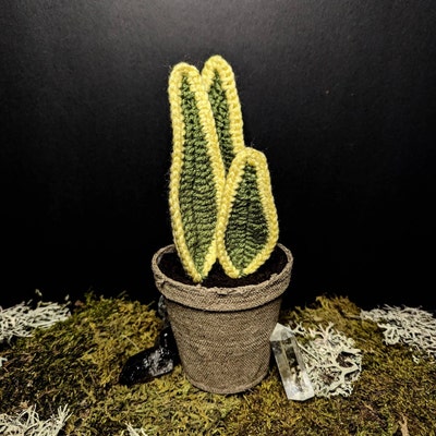 Spider Plant Crochet Pattern Amigurumi Houseplant - Etsy