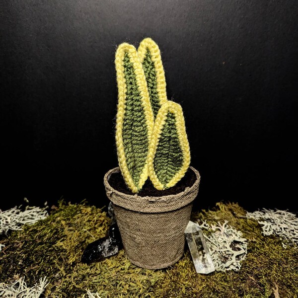 Spider Plant US Crochet Pattern | Amigurumi Houseplant | Chlorophytum ...