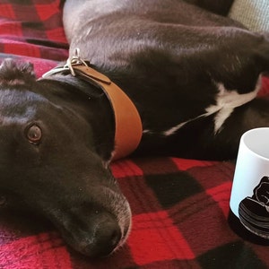 Greyhound Signed Original Lino Print Snaws teefs - Etsy