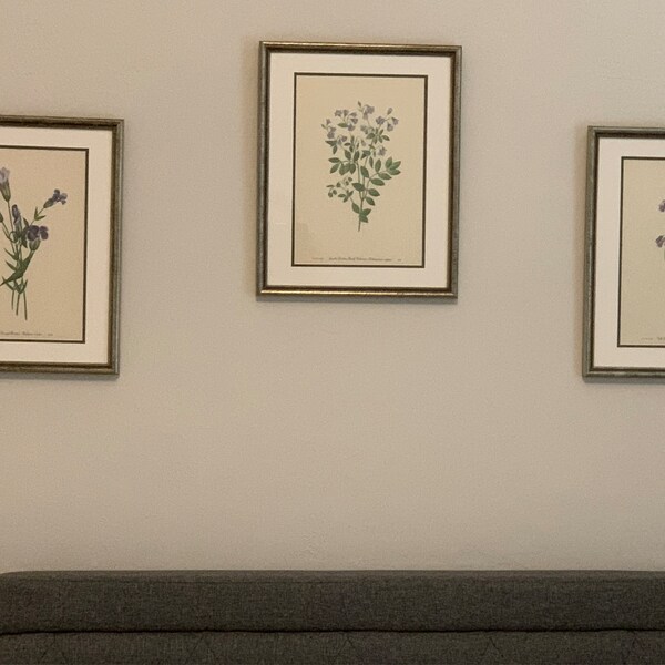 Gold Framed Botanical Prints, Set of 4, Vintage Original Wild Flower ...