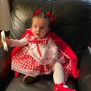 Heidi Costume Heidi Birthday Dress Birthday Dress | Etsy