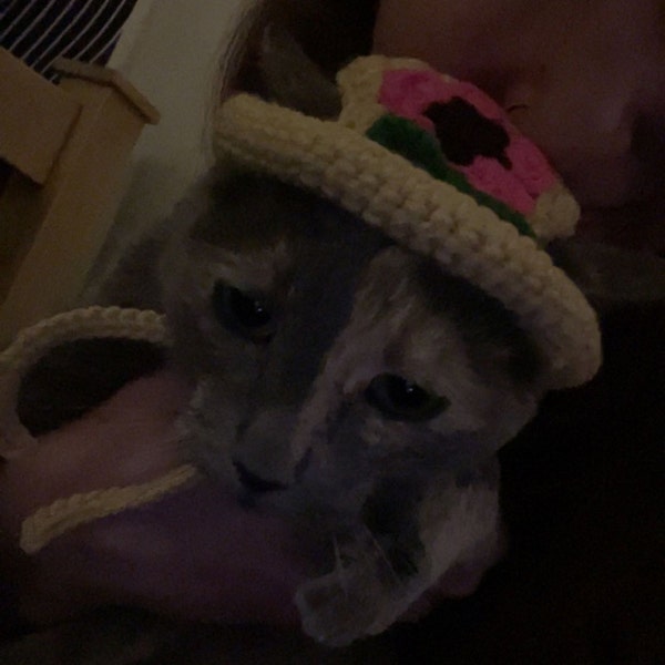 Pink Flower Summer Hat Cat Hats Cat Costumes Cat Accessories Cat ...