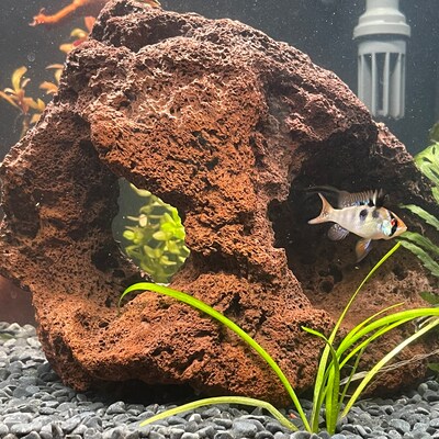 Soundrise PRO-5 Sound Absorbing Speaker Riser Stands - Etsy Canada