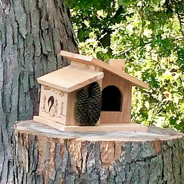 Squirrel House/nesting Box - Etsy