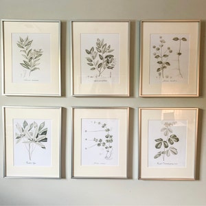 3 Set Vintage Drawing Art Prints. 1700's Architectural Sketch Courtyard ...