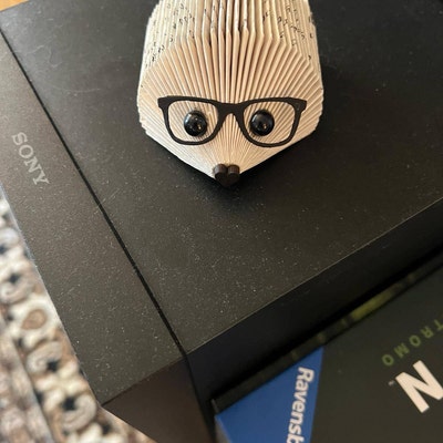 Small Paperbook Hedgehog - Etsy UK