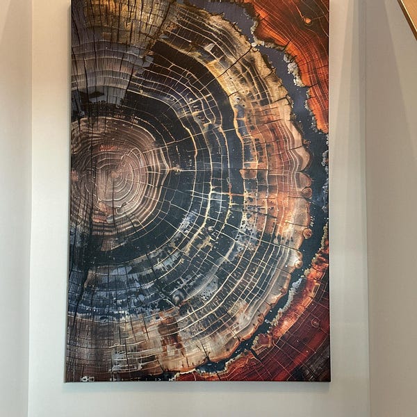 Tree Ring Framed Wall Art, Abstract Colorful Tree Ring Wall Decor ...