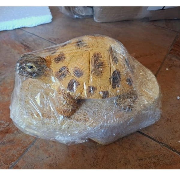 Turtle Urn tortoise Sculpture Pet Ashes Holder unique Memorial Casket ...