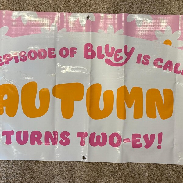 Bluey Floral Daisy Birthday Party Banner - Etsy