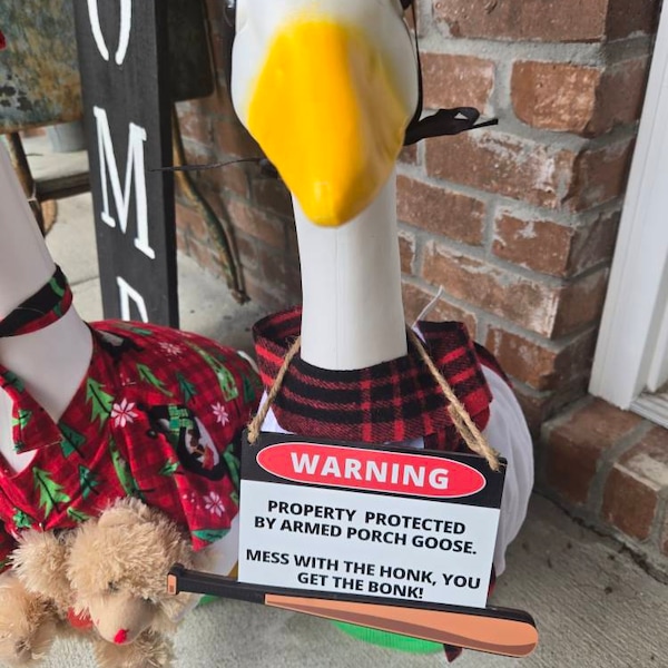 Porch Goose Sign, Goose Accessories for 23”- 27” Goose, Funny Mess With ...