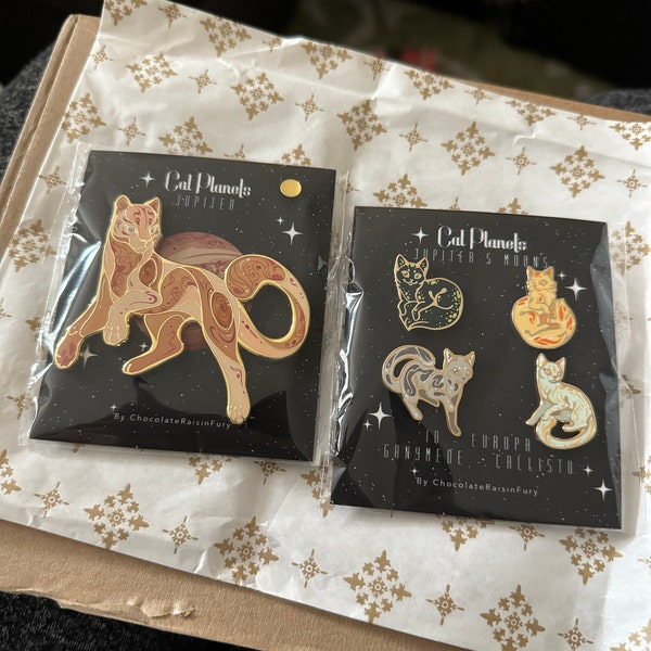 Jupiter's Moons Cat Planet Pins 1 Mini Space Cat Enamel Pins - Etsy