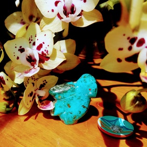 Ermalinda Pooacha Hand Painted and Wood Burned Zuni Gourd | Etsy