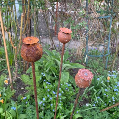 Set of 3 Rusty Poppy Seed Head Pattern Naturally Rusting - Etsy UK