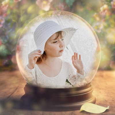 Owl in Cage Overlay Fantasy Overlay Owl Overlay PREMIUM background NOT ...