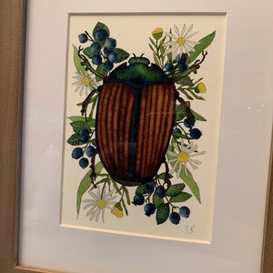 June Bug Insect Print of Original Watercolor Painting, Entomology Art ...