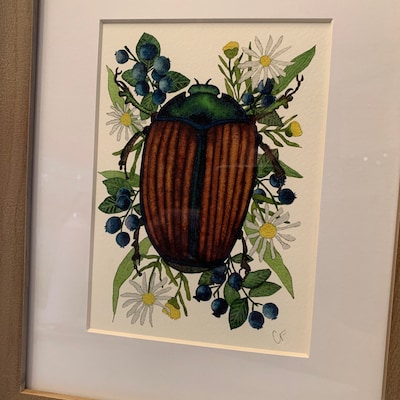 June Bug Insect Print of Original Watercolor Painting, Entomology Art ...