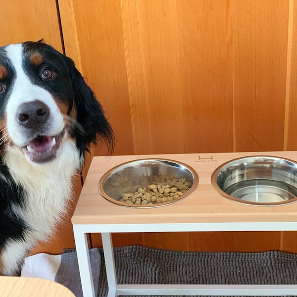 Elevated Dog Feeding Table for Large Size Dog / Raised Feeder for Big ...