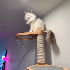 Cat Adjustable Tower Floor to Ceiling Cat Tower Wood Cat Tree Cat ...