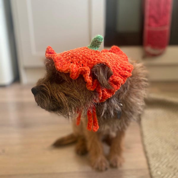 Santa Ruffle Dog Hat Crochet PATTERN - Etsy