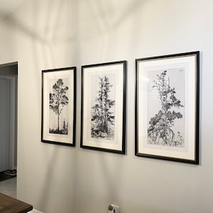 Etching Tree Art Set Tree Sketch Tree Drawing Antique - Etsy