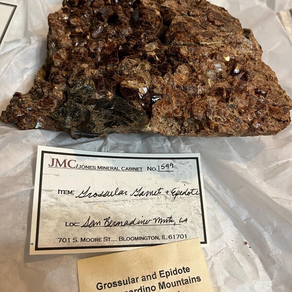 Authentic K-T Boundary kpg Boundary Sediment Layers Marking the ...