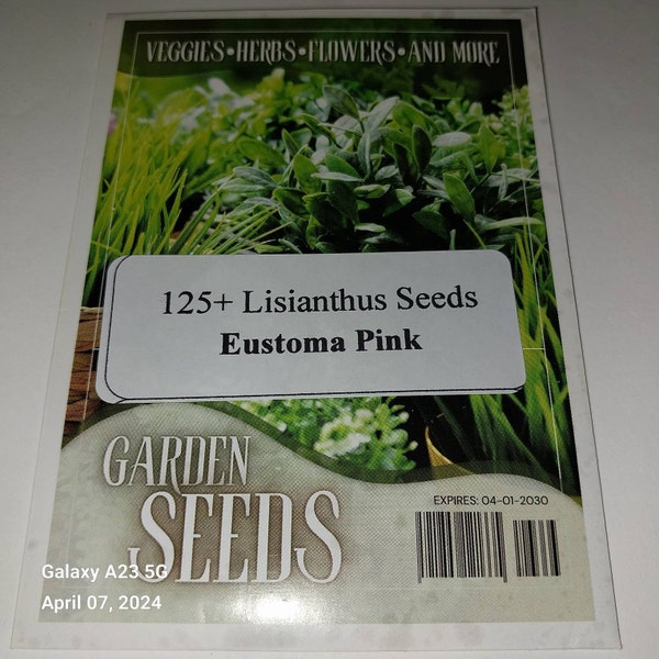 65 Columbine Seeds Blush Rose Flower Seeds, Heirloom Seeds, Non Gmo ...