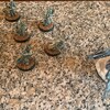 Bloodborne the Board Game Miniatures - Pro Painted Bloodborne ...