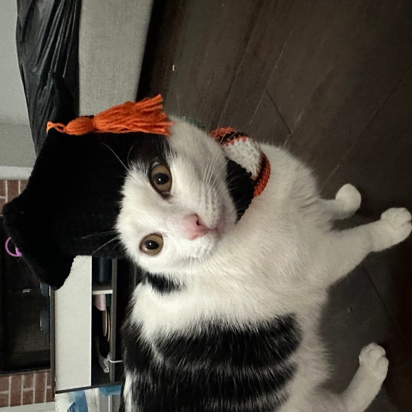 Graduation Costume for Cat, Graduation Cat Cap, Gift for Cat Lover, Cat ...