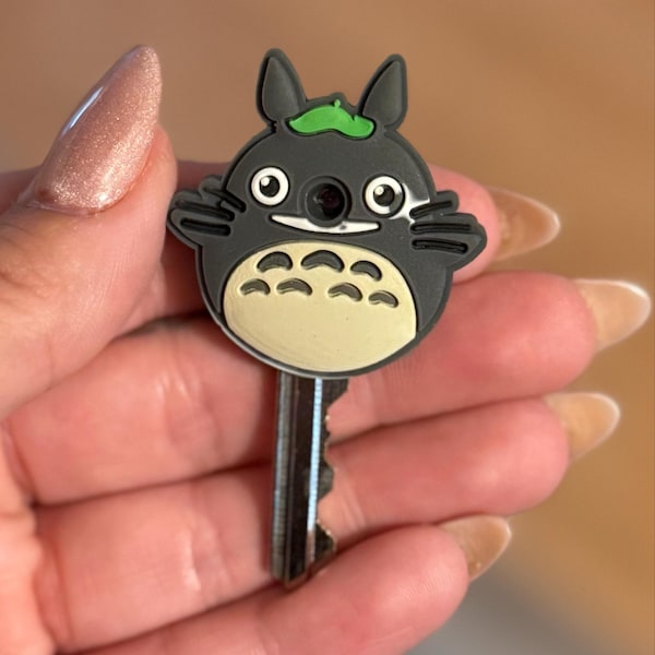 Anime Kawaii PVC Cat/bunny/chicken/bear Key Covers,key Cap Cover,kawaii ...