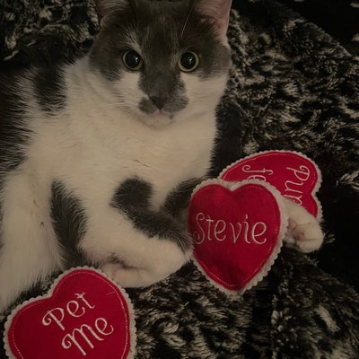 Dinosaur Finger Puppets With Coordinating Volcano Bag Fun and ...