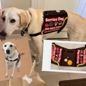 Vest adjustable Size, in Training Do Not Approach, Light Weight Sd ...