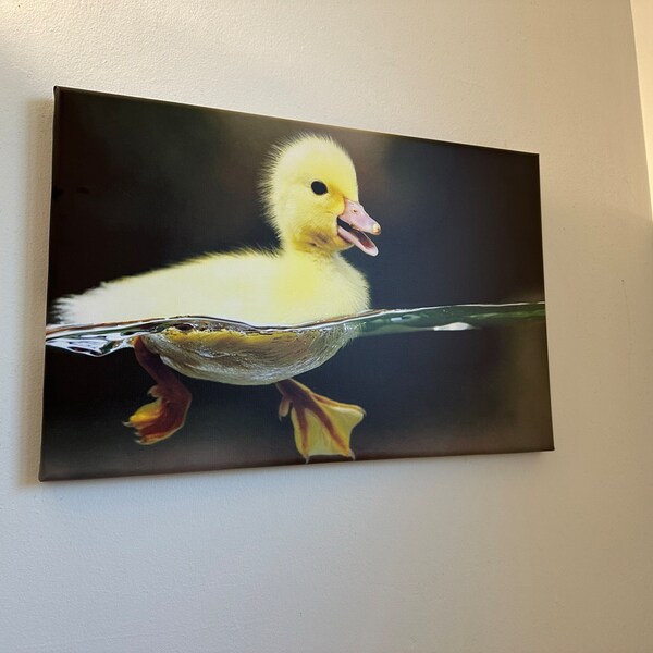 Private Jet Passenger Airplane Canvas Wall Art Design | Poster Print ...