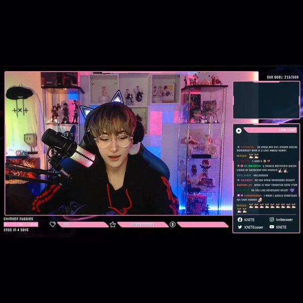 Twitch 8-bit TTRPG Overlay Pack | Main / Starting / BRB / Ending Scenes ...