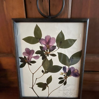 Azalea Print Pressed Flower Wall Art Plant Print Purple Flower Decor ...