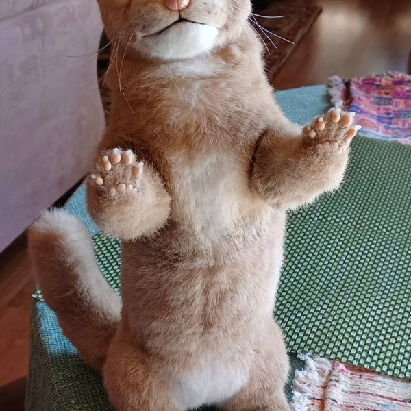 Made to Order! Marmoset Monkey Realistic Stuffed Toy - Etsy