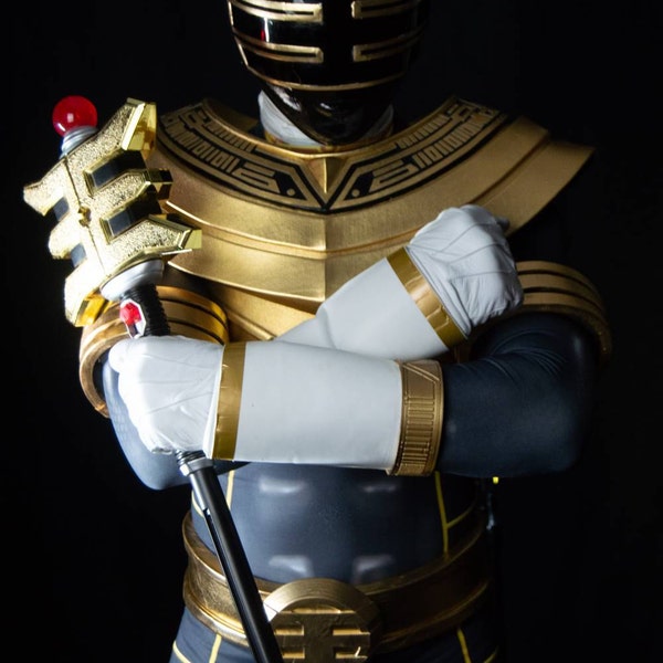 Zeo Gold / King Ranger Shield - Etsy