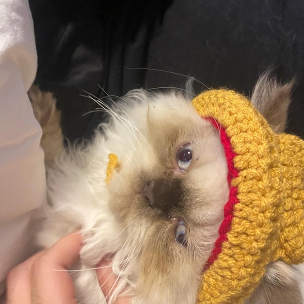 One Piece Anime Handmade Crochet Hat Tony Chopper Blue & Pink Hat ...