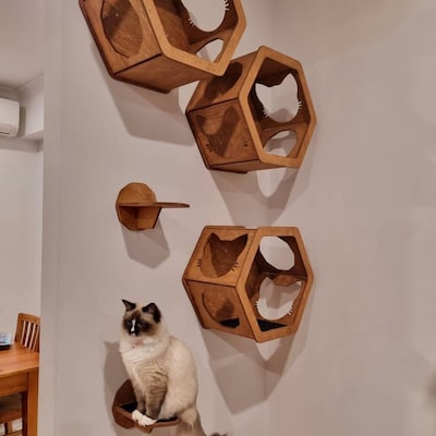 Cat Hexagon Shelves, Wood Wall Furniture for Cats, Wall Mount Shelf ...