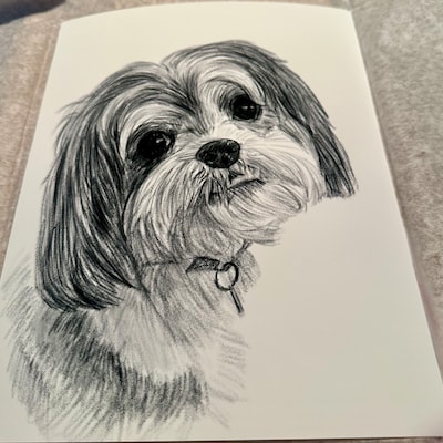 Custom Dog Portrait From Photo, Dog Sketch Into Art, Cat Illustration ...