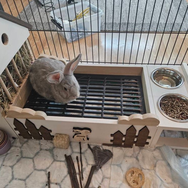 Large Hay Feeder and Litter Box for Giant Flanders Rabbit. Giant Rabbit ...