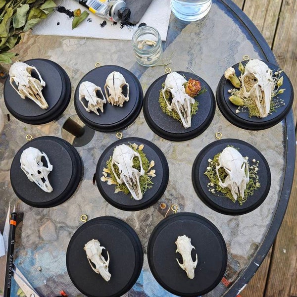 Funko Pop Display Shelf, Wall Display Unit, MDF, Pop Vinyl, Storage for ...