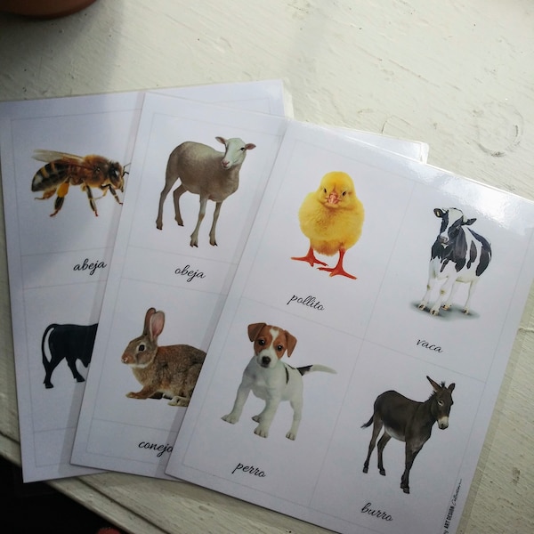 FARM ANIMALS • 22 Editable Montessori Cards • Flash Cards Nomenclature ...
