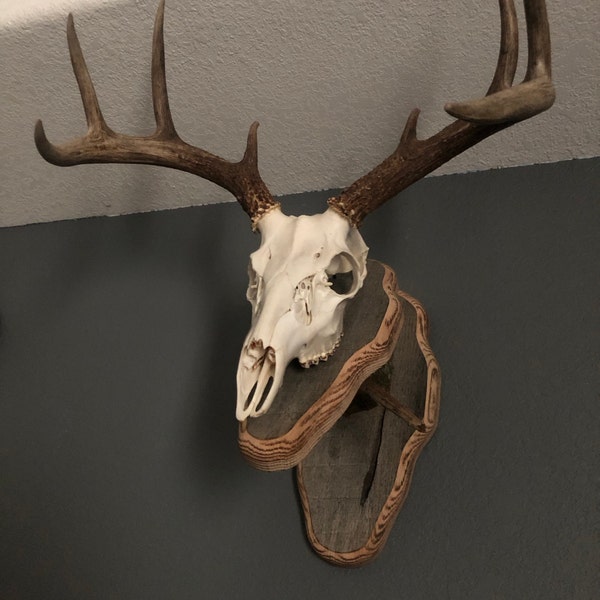 Barn Wood European Wall Mount - Etsy