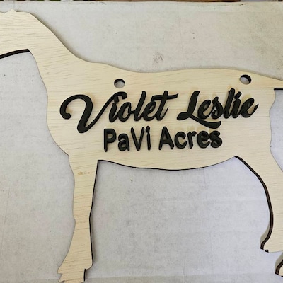 Show Pig Stall Sign With Hanging Name Plate, Wood Livestock Show Sign ...